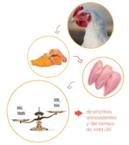 Aditivos alimentarios y el perfil de ácidos grasos en pollos