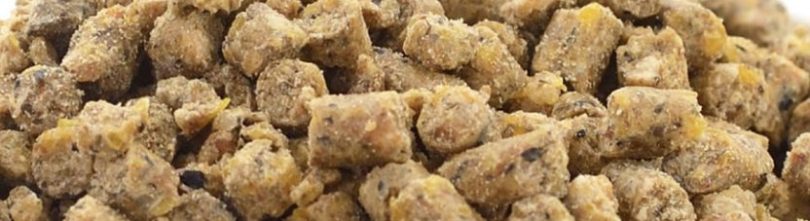 Ecobiol® mejora el rendimiento de los pollos de engorde