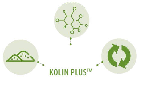 KOLIN PLUS: una alternativa fitogénica al cloruro de colina