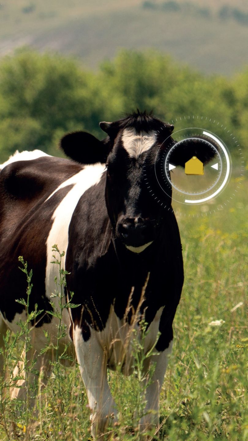 The microbiome as a transforming tool for animal nutrition