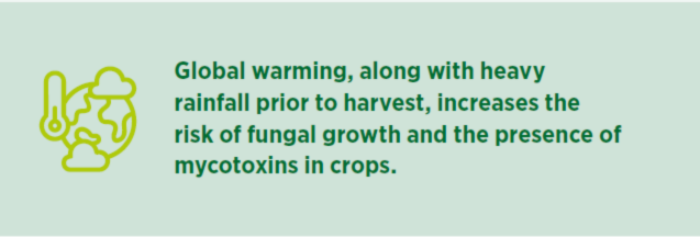 Mycotoxin control: Focusing on the problem