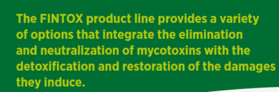 Mycotoxin control: Focusing on the problem