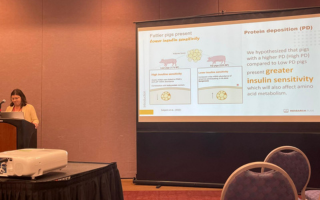 Highlights from the 2023 ASAS-CSAS-WSASAS Annual Meeting!