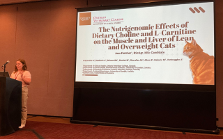 Highlights from the 2023 ASAS-CSAS-WSASAS Annual Meeting!