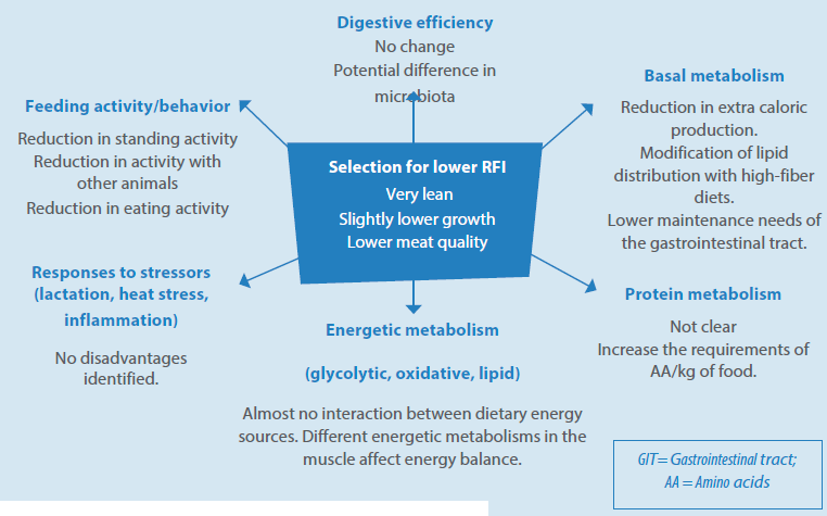 Controlling Residual Feed Intake: Maintaining a balance