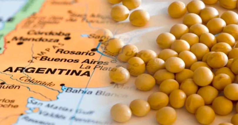 Se detalla el genoma de una soja No OGM