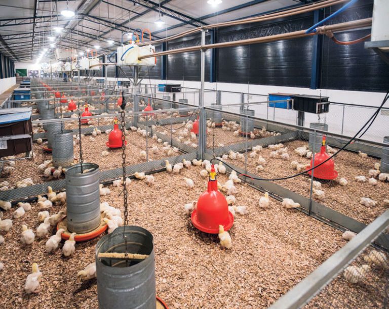 Agroceres Multimix apresenta sua estrutura de nutrição animal