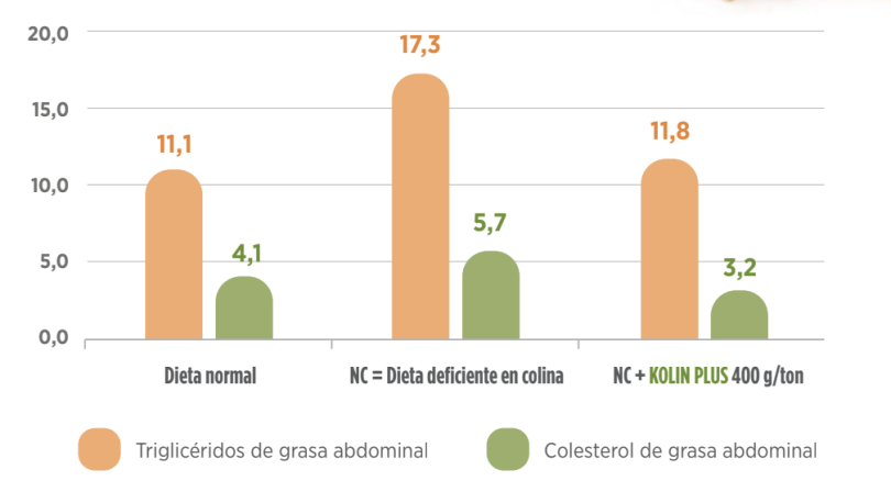 Kolin PlusTM, Una alternativa más ecológica al cloruro de colina