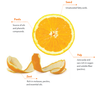 Citrus Pulp Definition & Classification (Raw Material Sheet)