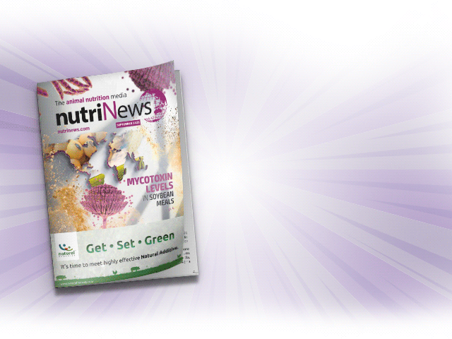 Nutritional additives and their effects on ruminant nutrition