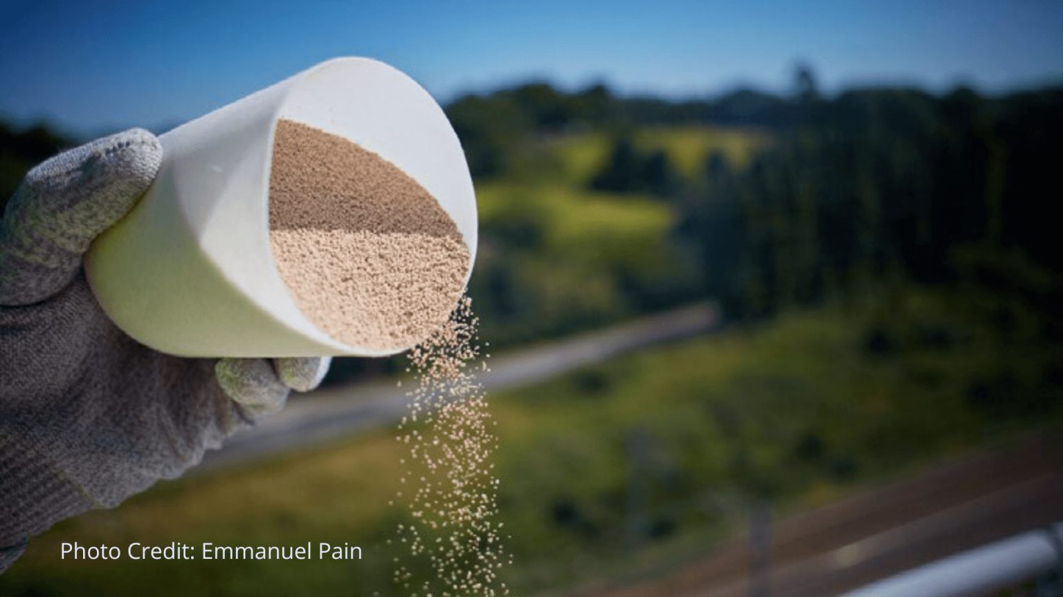 Fósforo, um mineral fundamental na nutrição animal - nutriNews, a ...