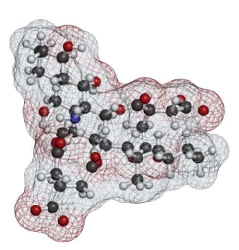 Micotoxinas de Fusarium: Cambio climático e impacto en avicultura