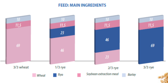 Sustainable performance with hybrid rye?