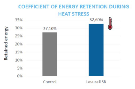 Live Yeast & Pig Resilience to Heat Stress