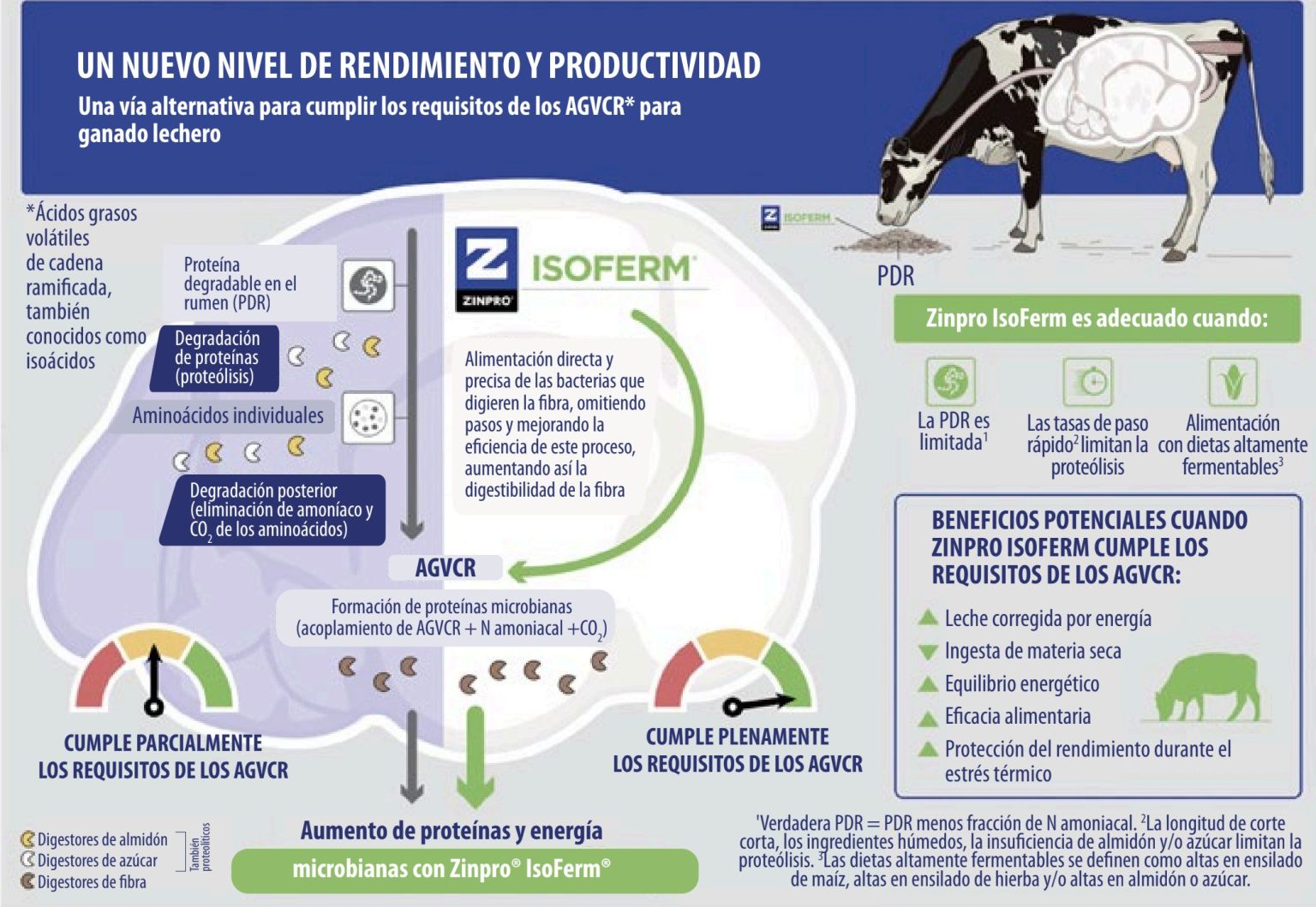 Isoácidos: la nueva frontera de la nutrición láctea