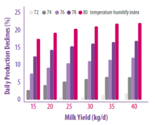 Feeding for high milk quality in dairy cows under heat stress