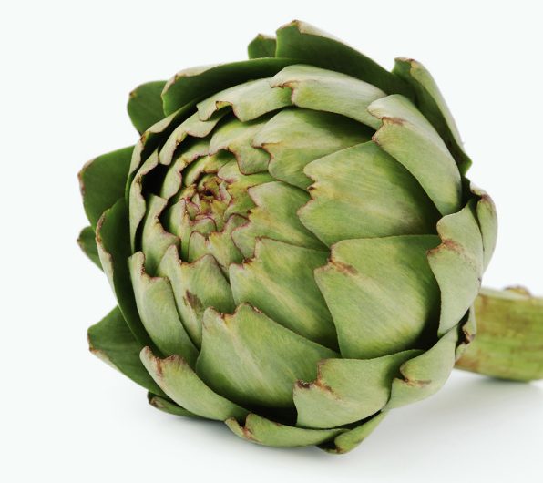 Ascitis en aves de corral: ¿cómo mitigarla?