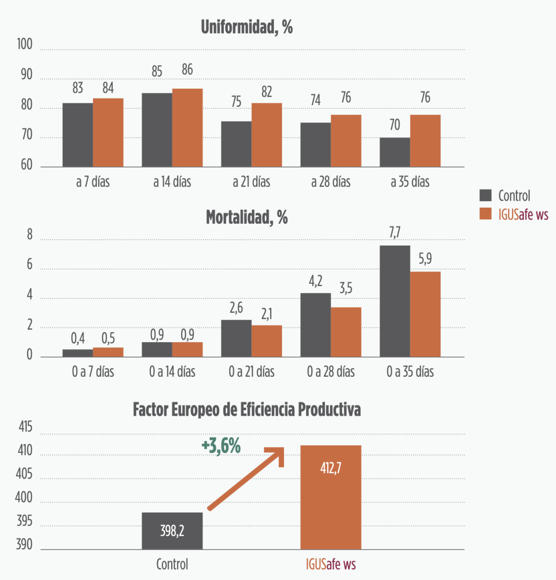 Ascitis en aves de corral: ¿cómo mitigarla?