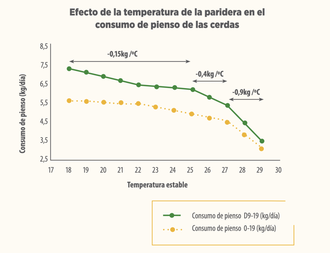 Estrés calórico en cerdos: cómo mantener parámetros productivos