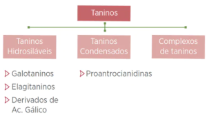 Tanino, um fator antinutricional… será? - nutriNews, a revista de ...