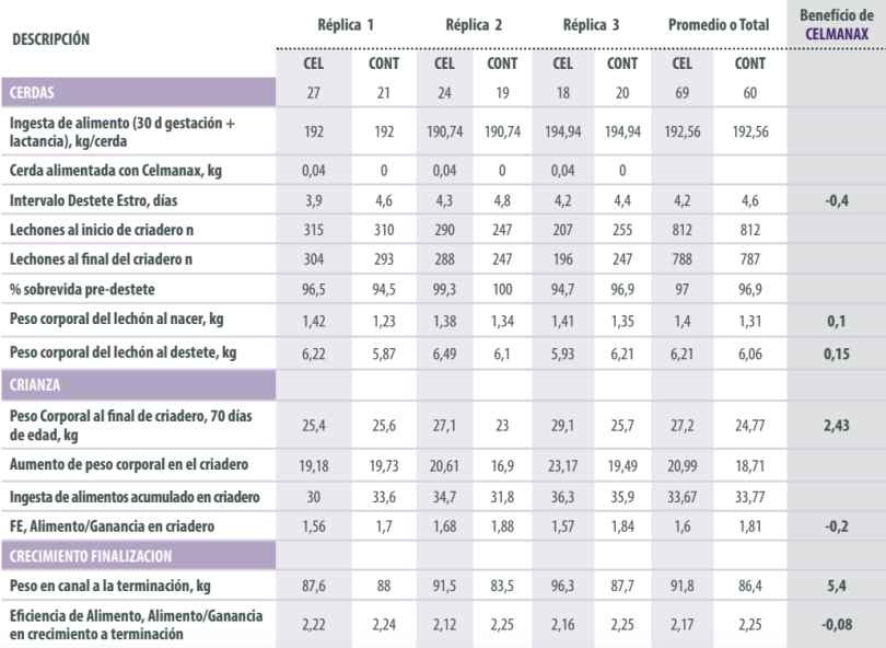 CELMANAX mejoró el rendimiento de cerdas y cerdos de engorde