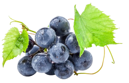 Polifenoles - Antioxidantes para controlar el estrés oxidativo