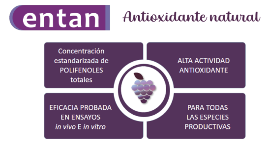 Polifenoles - Antioxidantes para controlar el estrés oxidativo