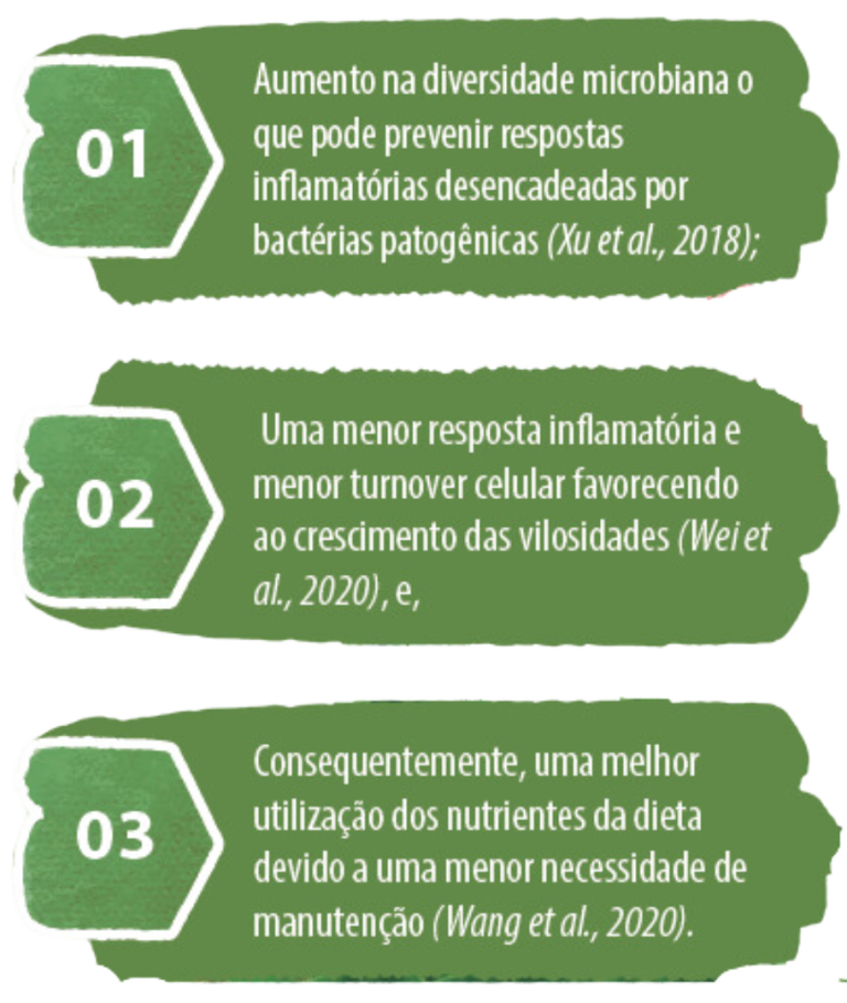 Fitogênicos e antibióticos para leitões de creche não desafiados ...
