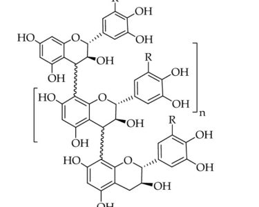 Tannins in Ruminant Nutrition: From Obstacle to Opportunity