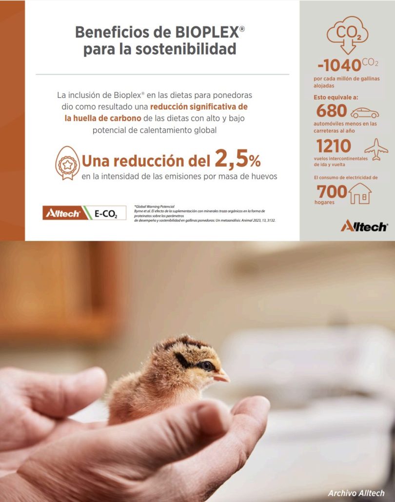 Bioplex Alltech en ponedoras: satisfacer necesidades nutricionales