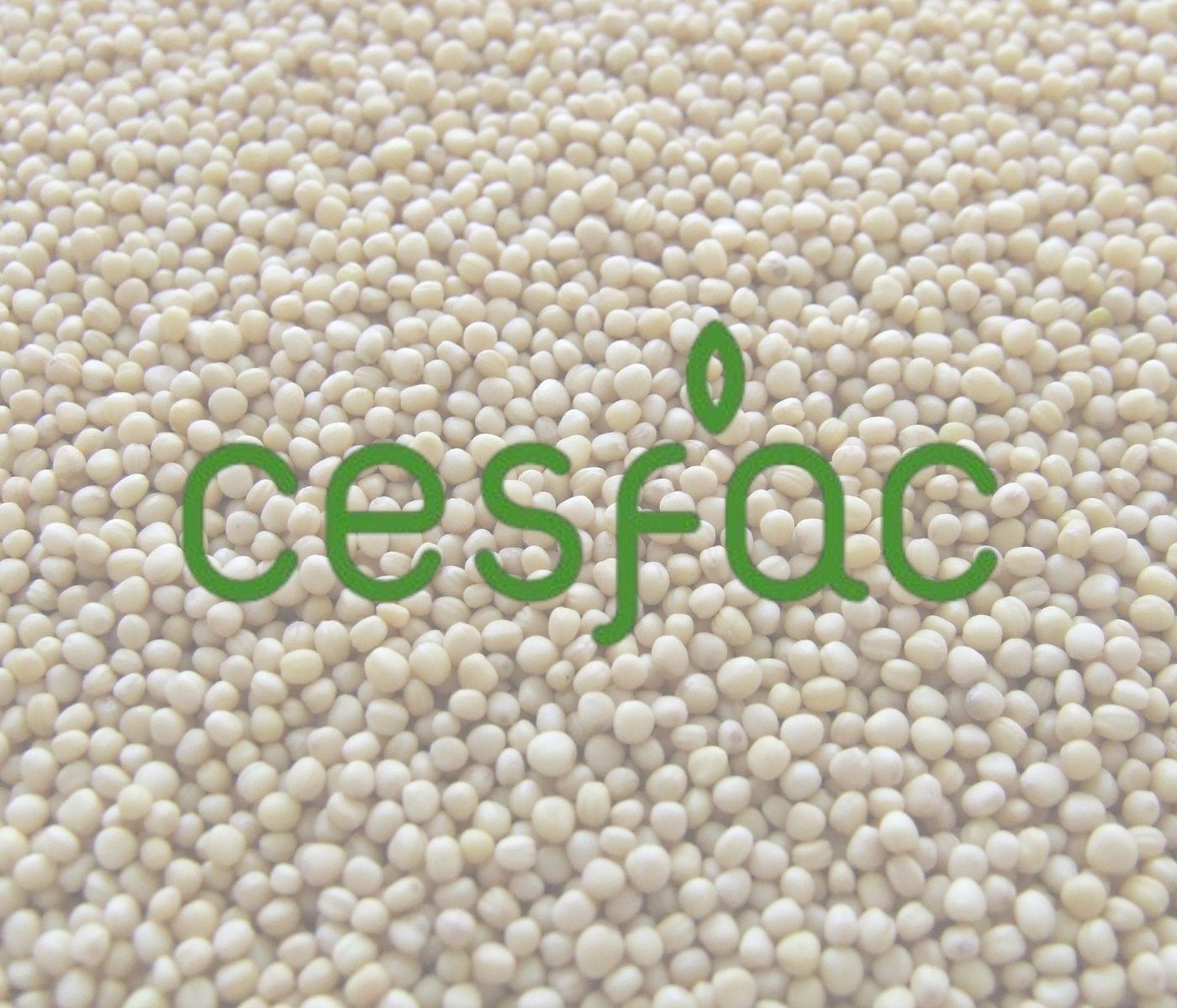 CESFAC: Carta abierta sobre el Aplazamiento del EUDR