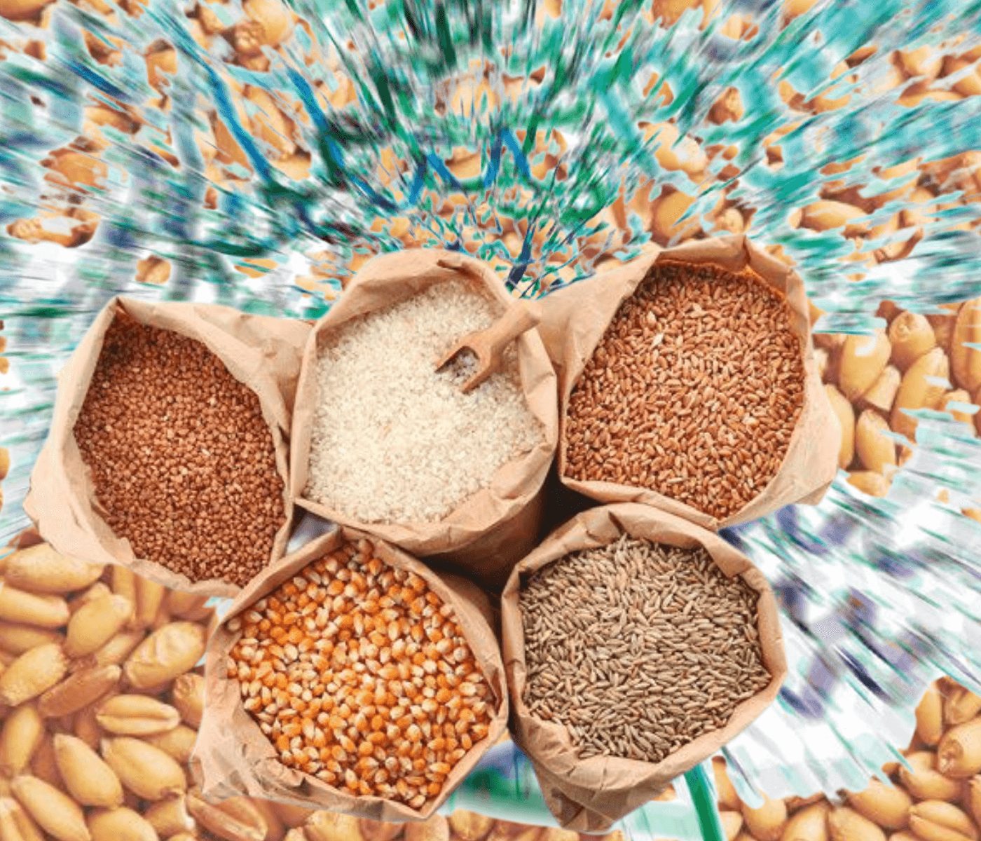 Digestión, digestibilidad y valor nutritivo en nutrición animal