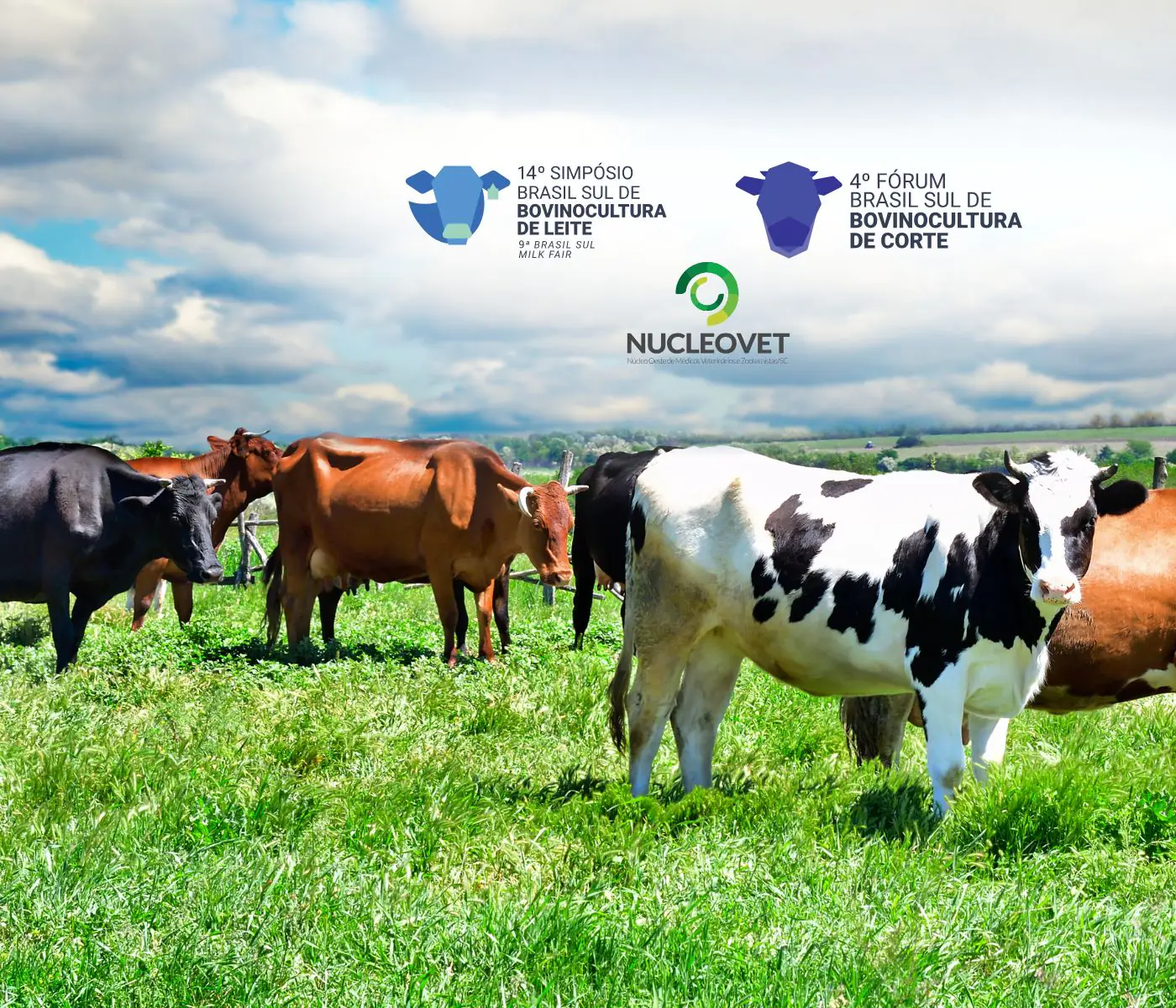 Beef on Dairy: o potencial para integrar produção de carne e leite ...