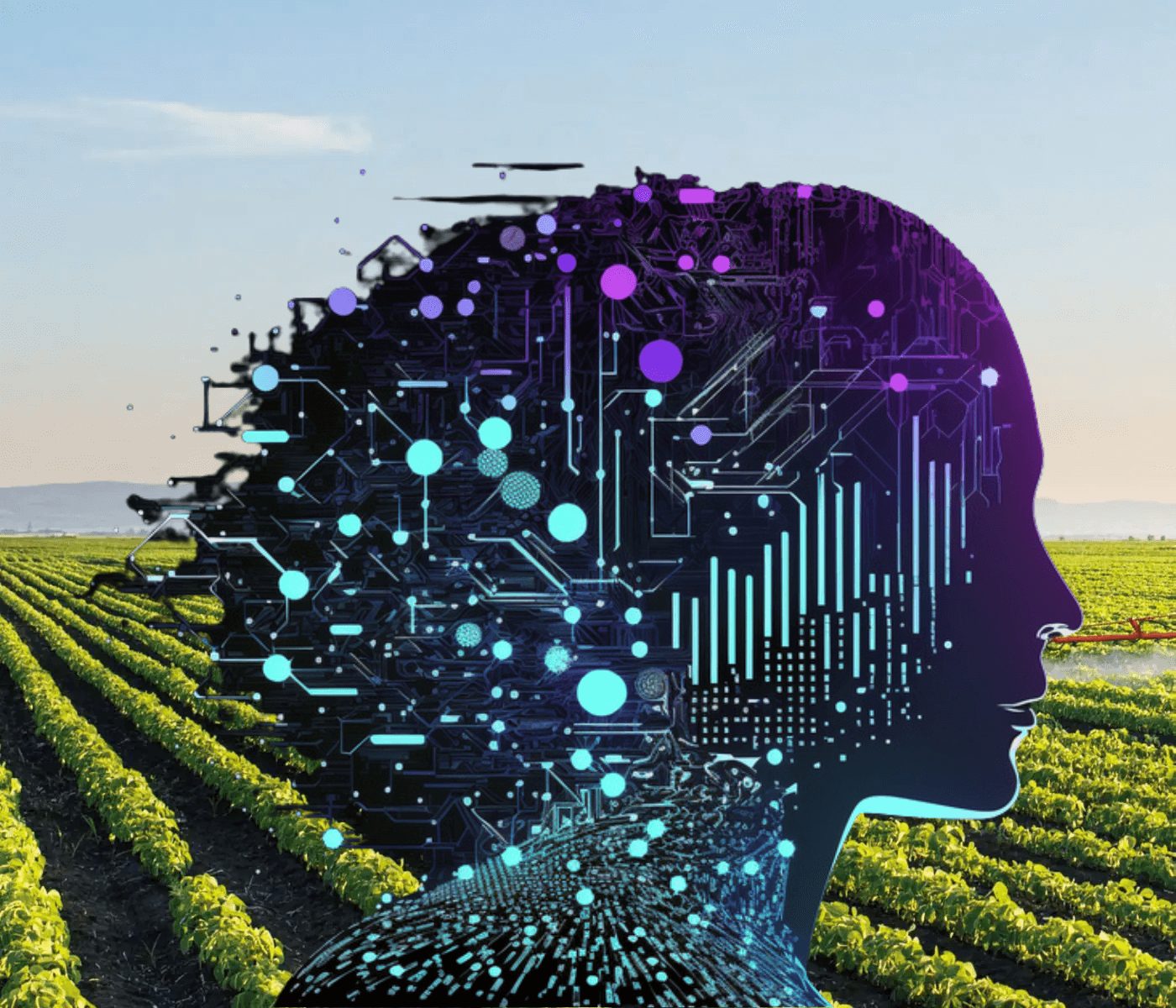 Inteligencia artificial (IA) en el agro latinoamericano