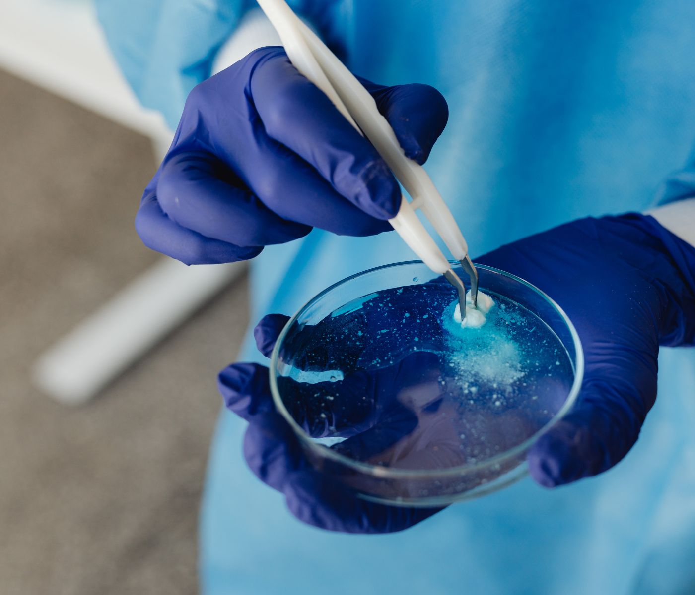 NOVUS amplia pesquisa em microbiologia e fermentação - nutriNews, a ...