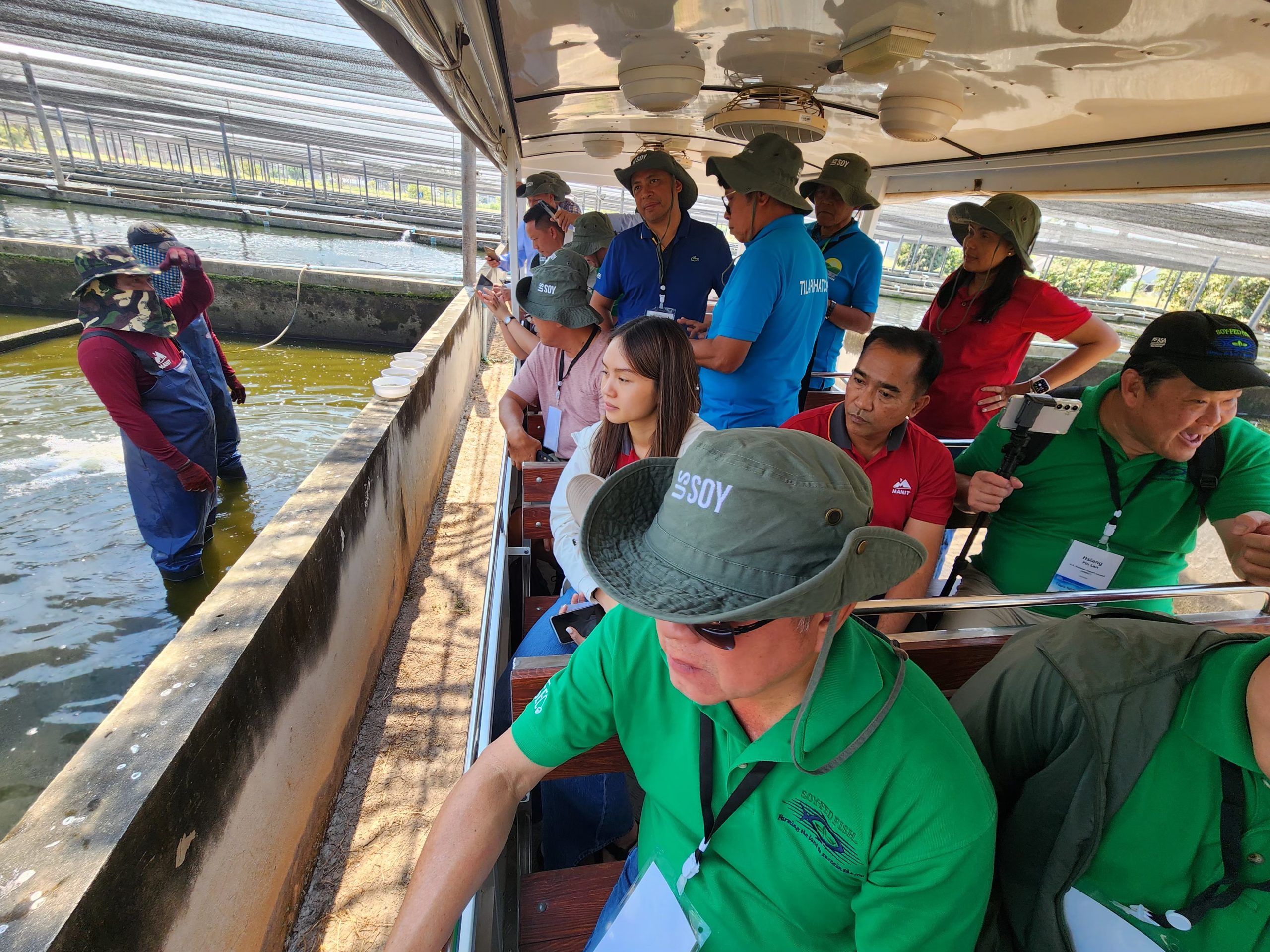 Collaboration, innovation to strengthen Southeast Asia’s tilapia ...