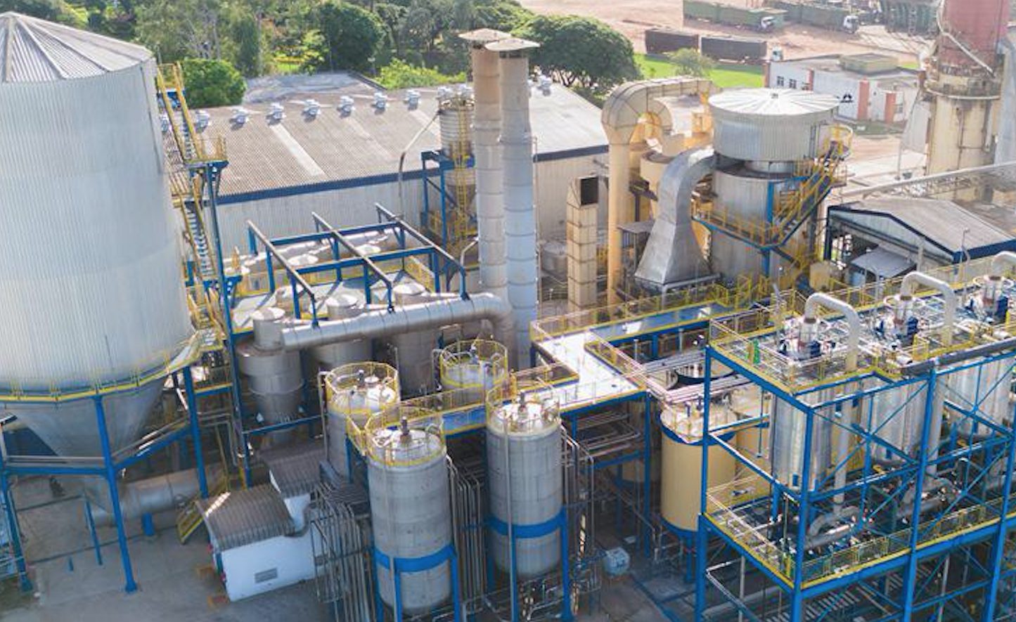 Yeast-based ingredients: sustainable solutions for animal nutrition