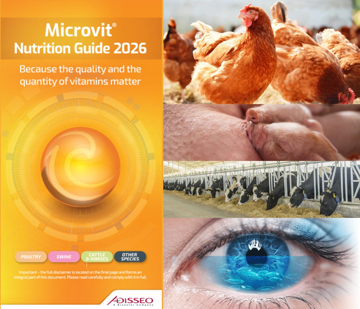 Adisseo Launches the 2026 Microvit® Nutrition Guide