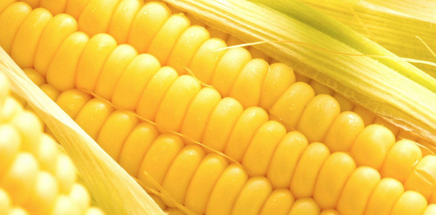 El precio del maíz en Rosario baja levemente a inicios de 2026
