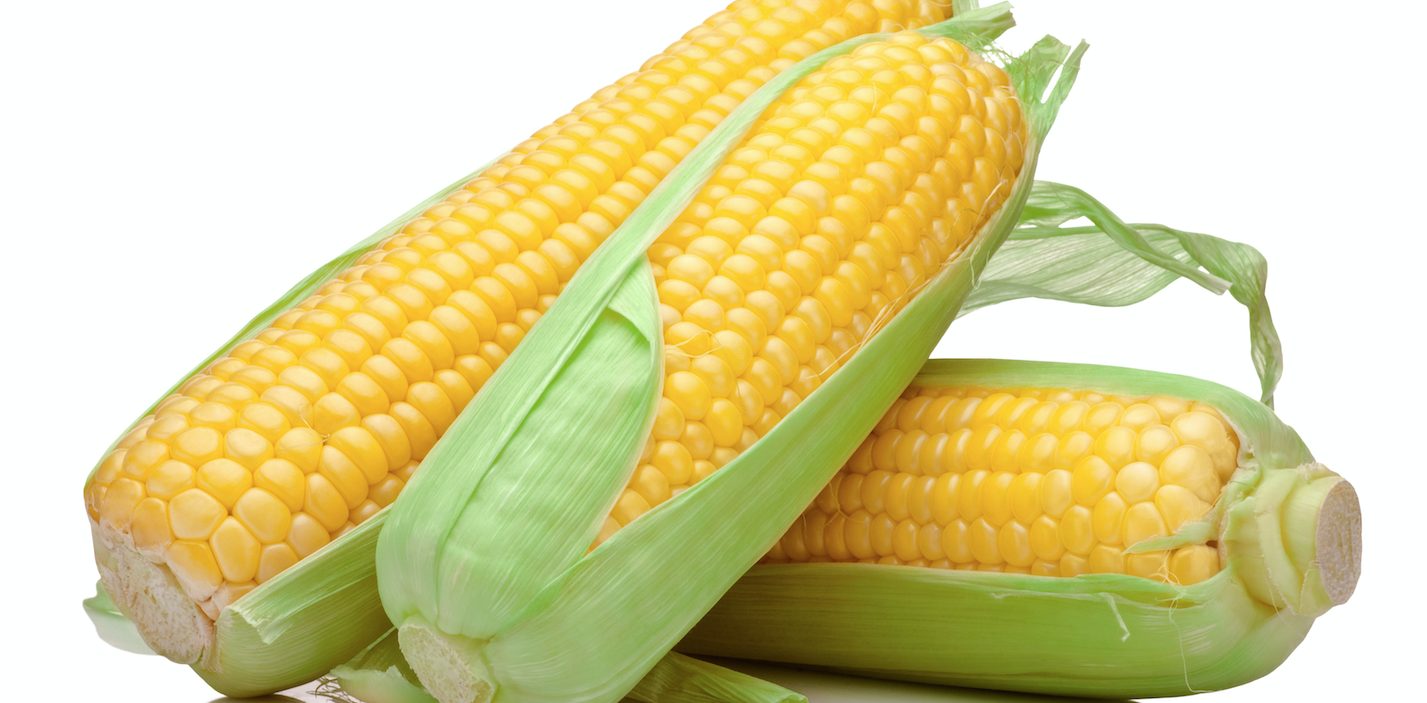 El precio del maíz en Rosario baja levemente a inicios de 2026