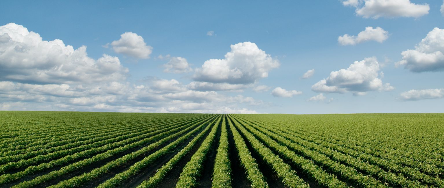 El MAPA aprueba el Plan de Seguros Agrarios Combinados 2026