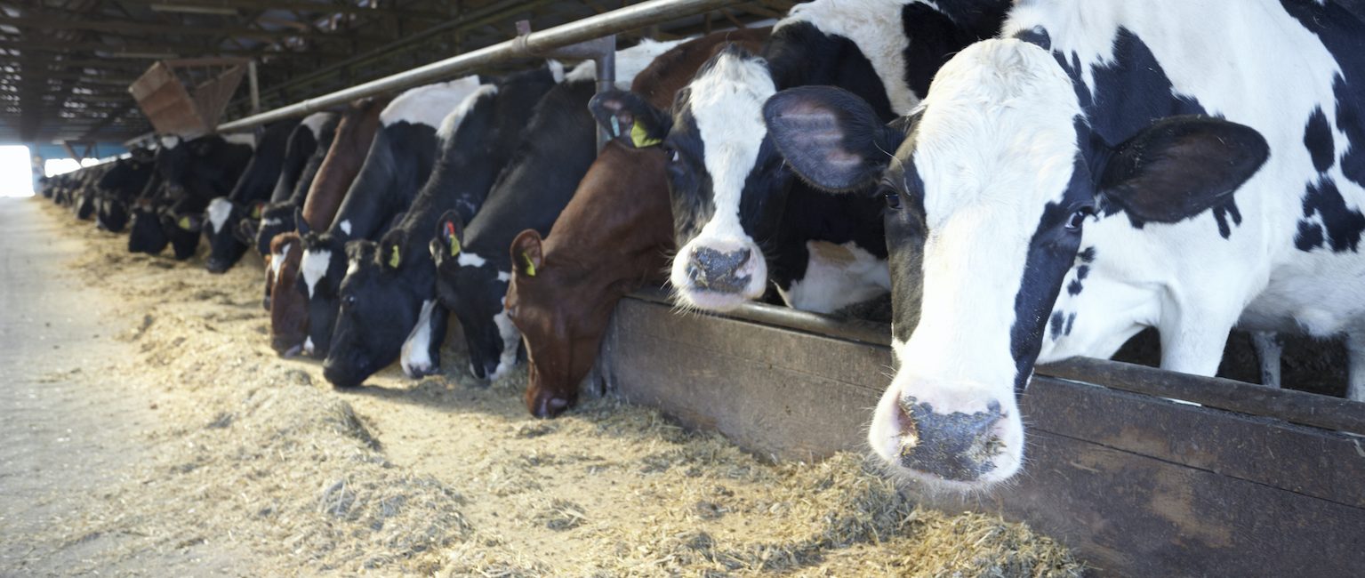 El MAPA aprueba el Plan de Seguros Agrarios Combinados 2026