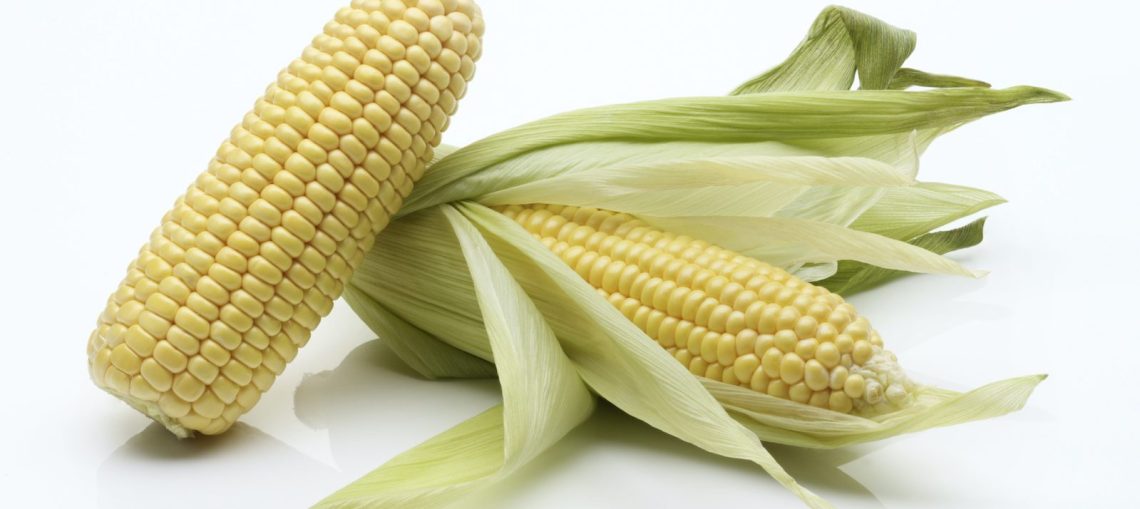 USDA proyecta maíz récord y sacude el mercado agrícola