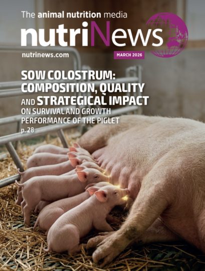 Calcium, phosphorus, and phytase optimization in broiler diets